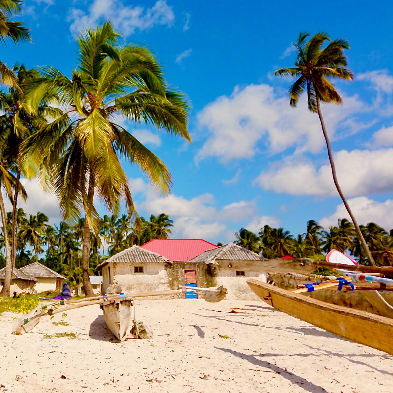PAJE ZANZIBAR